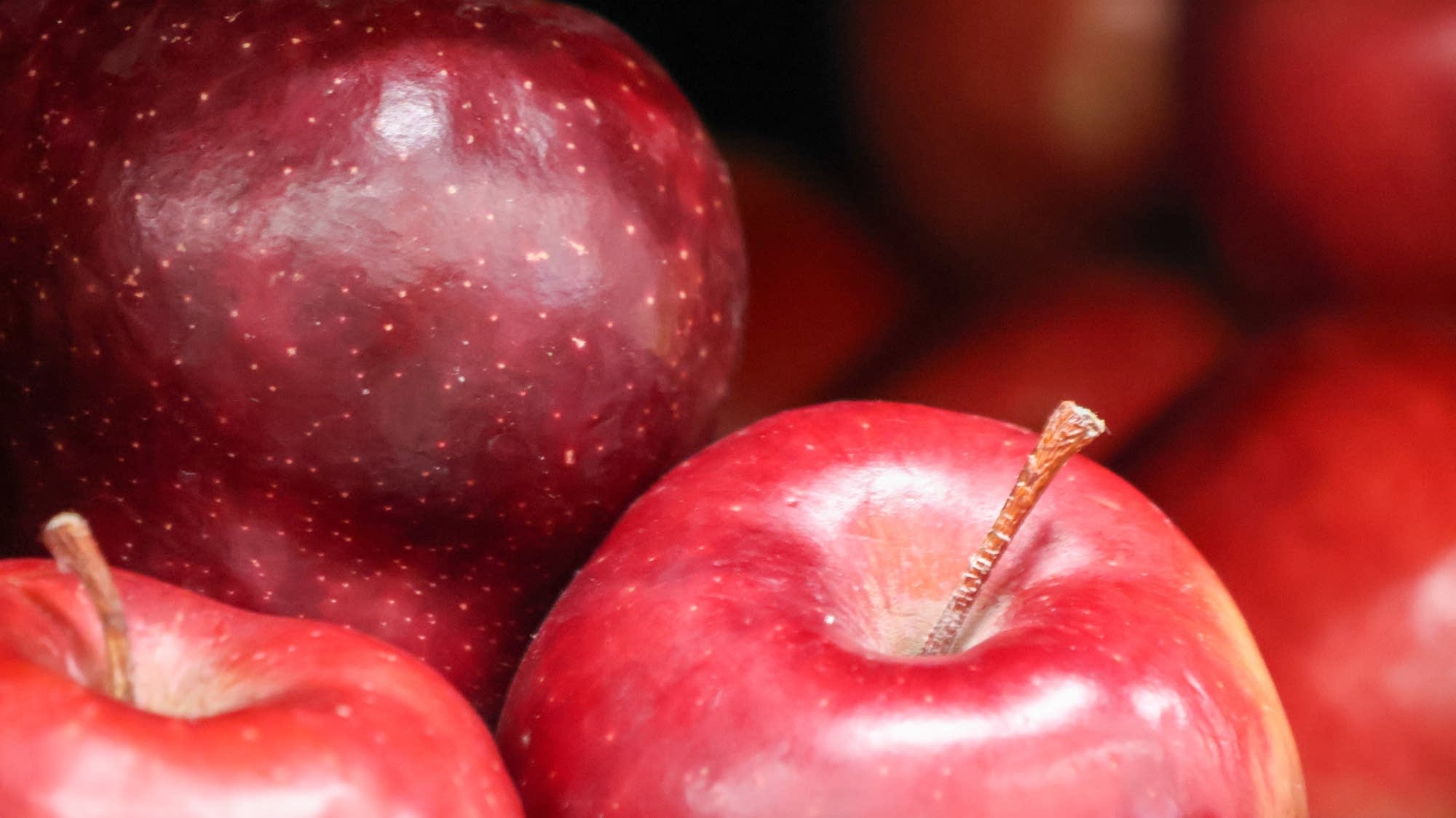 U of M unveils new fruit varieties, including a Honeycrisp sequel apple ...