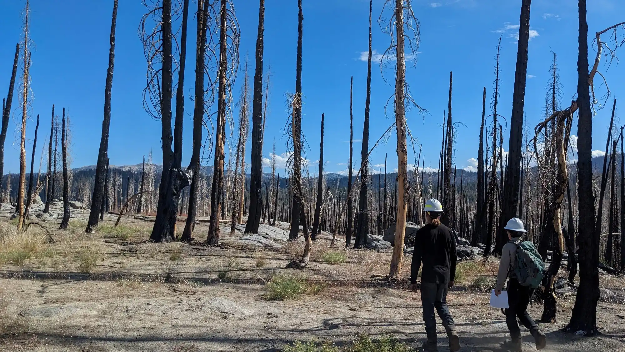 Survivors of the 2020 Creek Fire look back on harrowing escapes ...