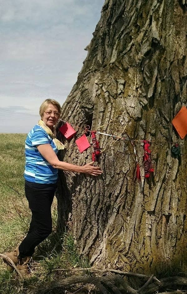 End of the line coming for Watson’s Mile Tree | MPR News