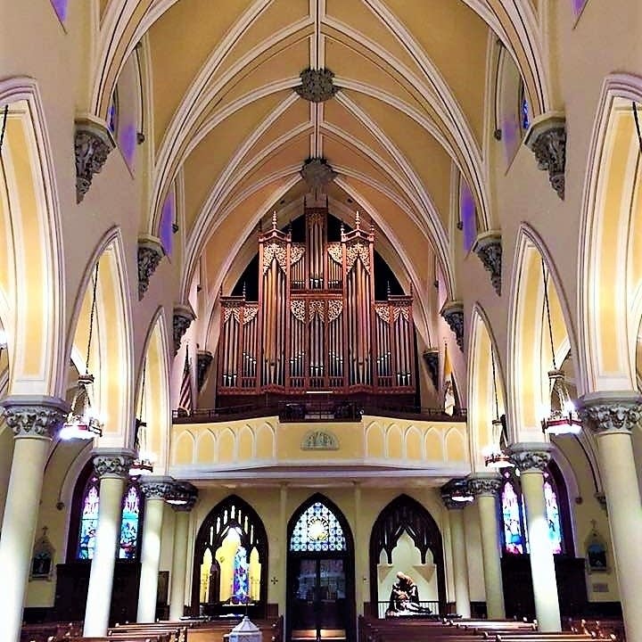 All Episodes | Pipedreams