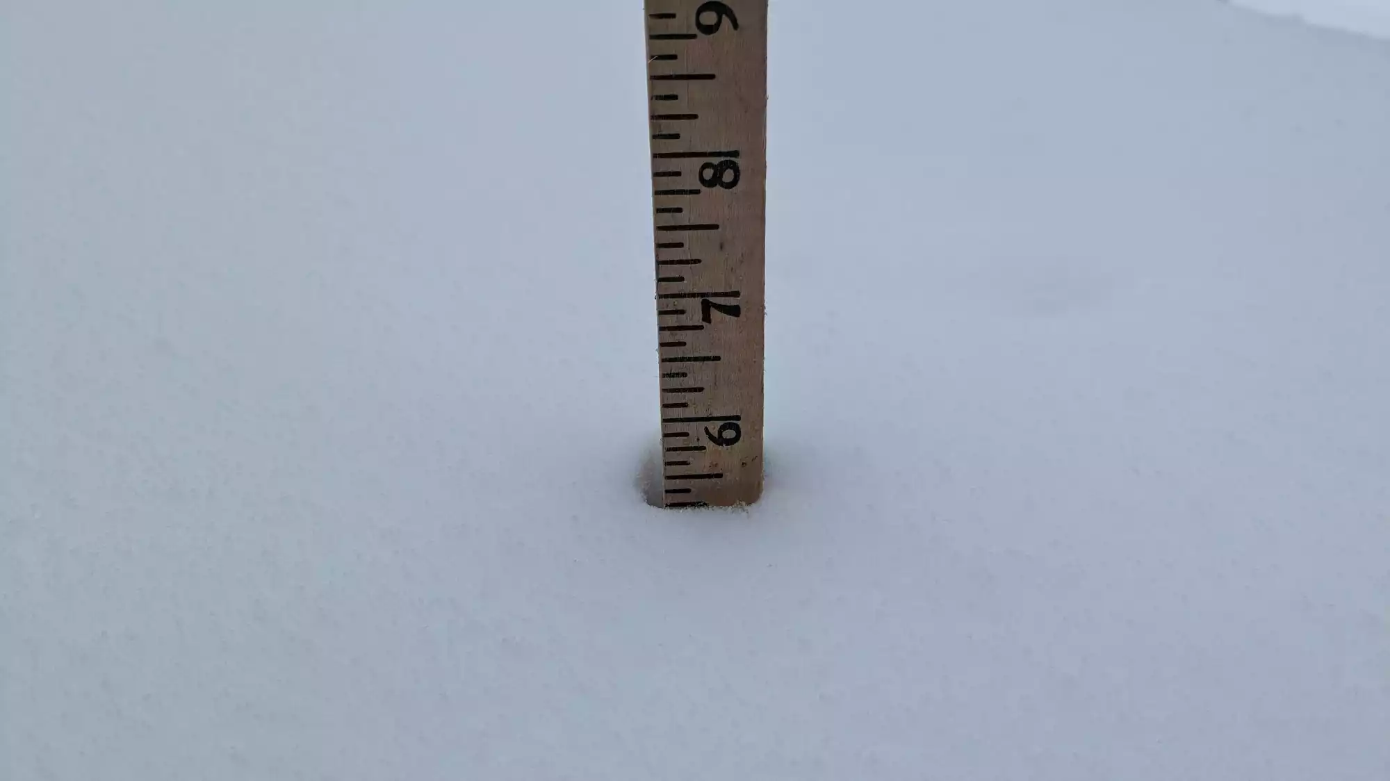 Lead storm wave dumps 3" to 6" of snow in most areas | MPR News