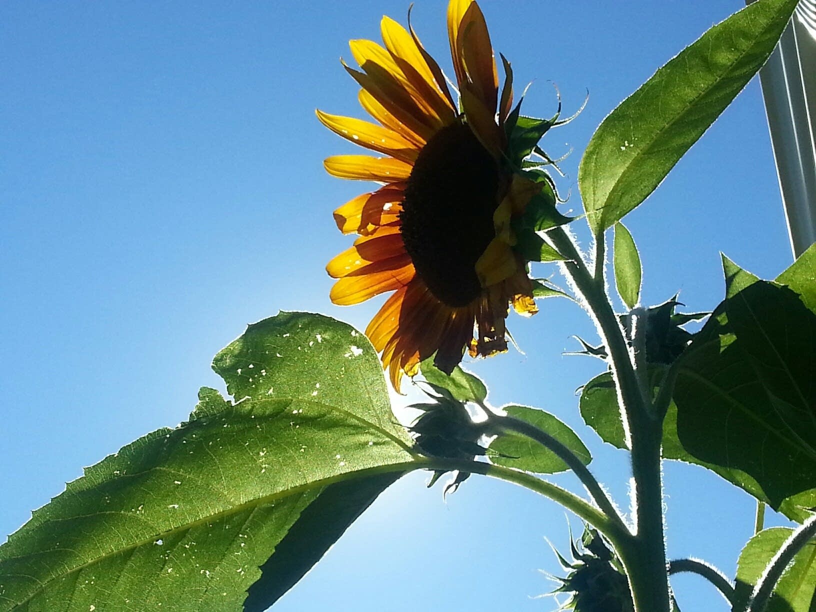 Coffee Break: Kindness and cheer