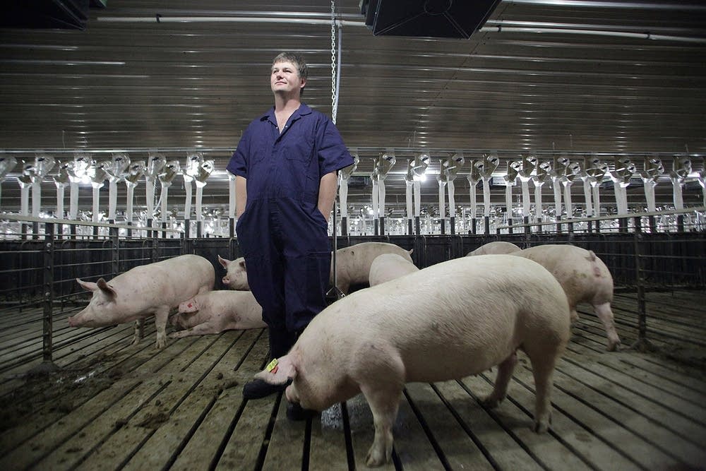 Twin Cities environmentalists join fight over Cargill's Arkansas hog ...