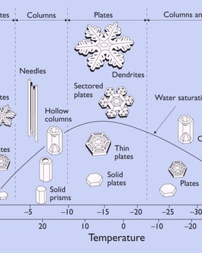 Dendrites Snowflakes