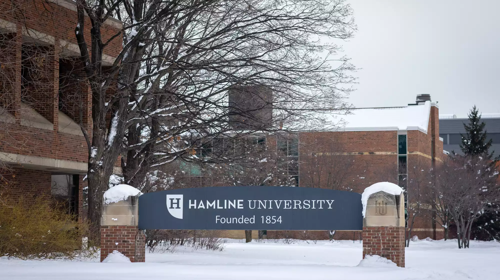 Former Hamline professor sues for religious discrimination, defamation ...