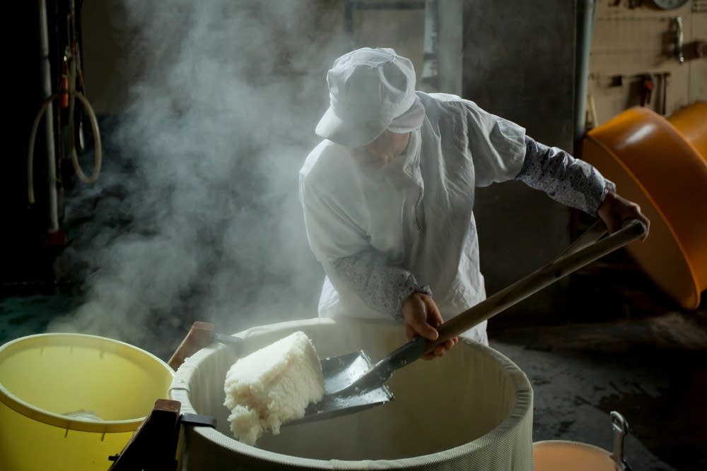 At the heart of brewing sake is koji, a mold | The Splendid Table
