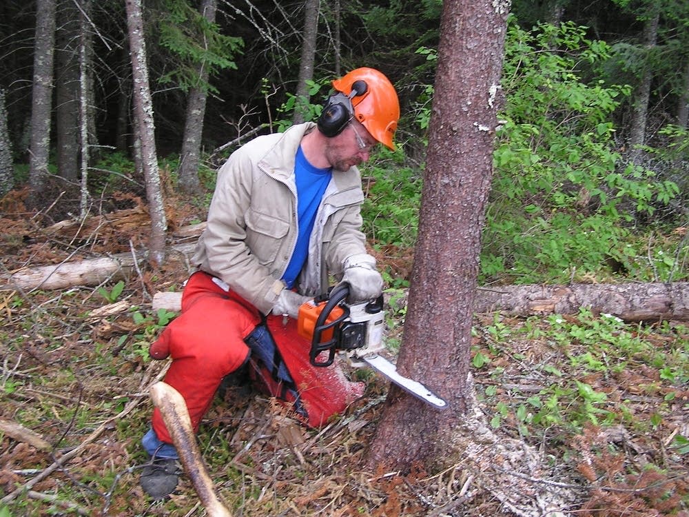 Wildfire academy trains firefighters | MPR News