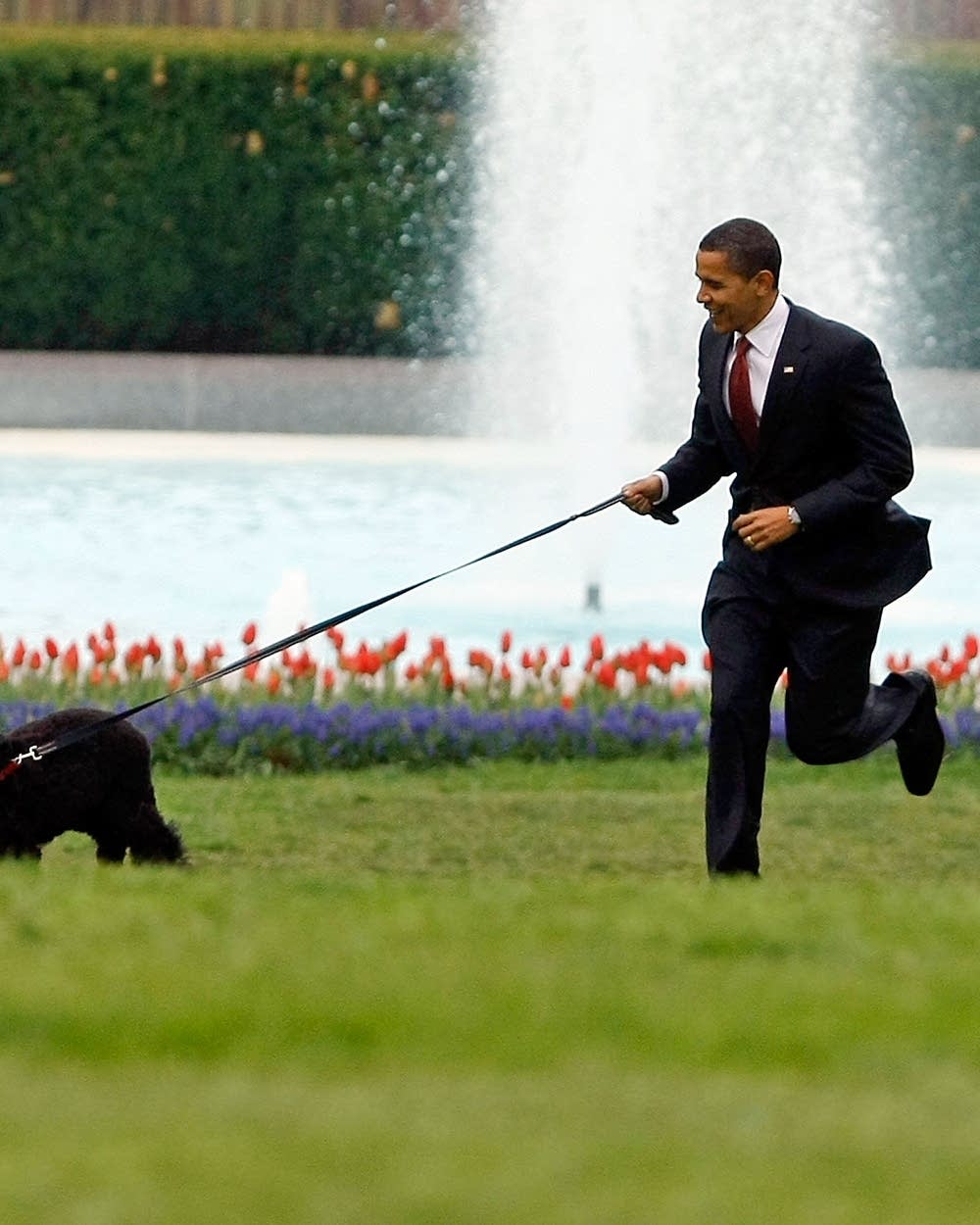 White House Obama Dog