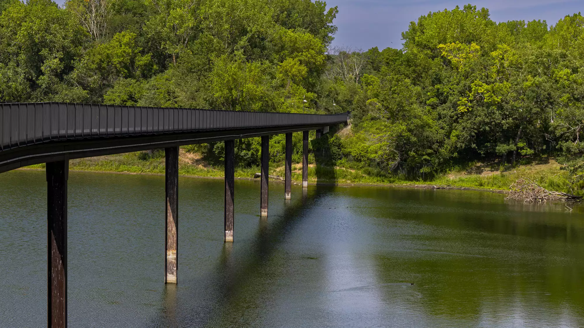 Atop former monorail track, Minnesota Zoo's new Treetop Trail set to ...