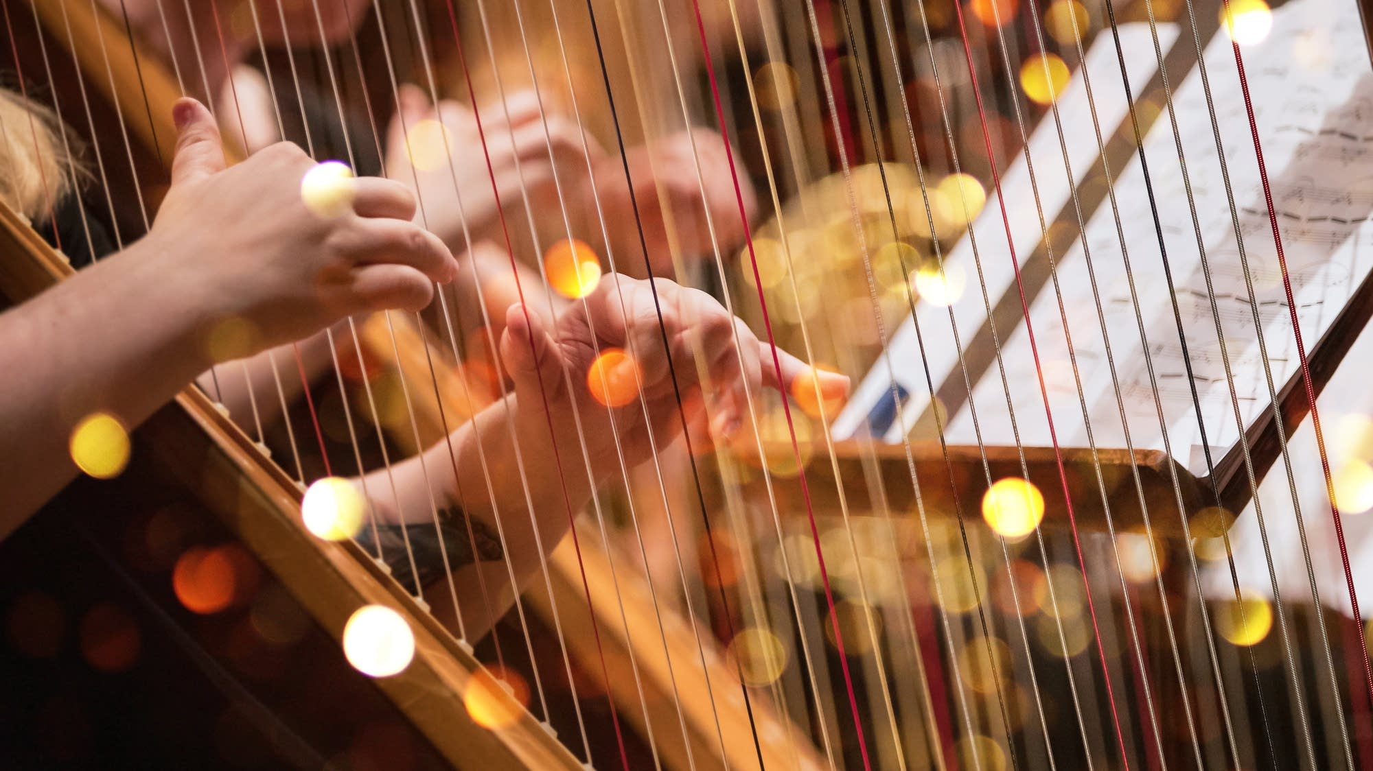 How do stringed instruments make sounds? | Brains On