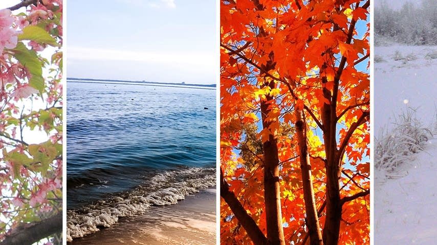 Astronomical spring arrives: Highs in the 50s and 60s ahead | MPR News