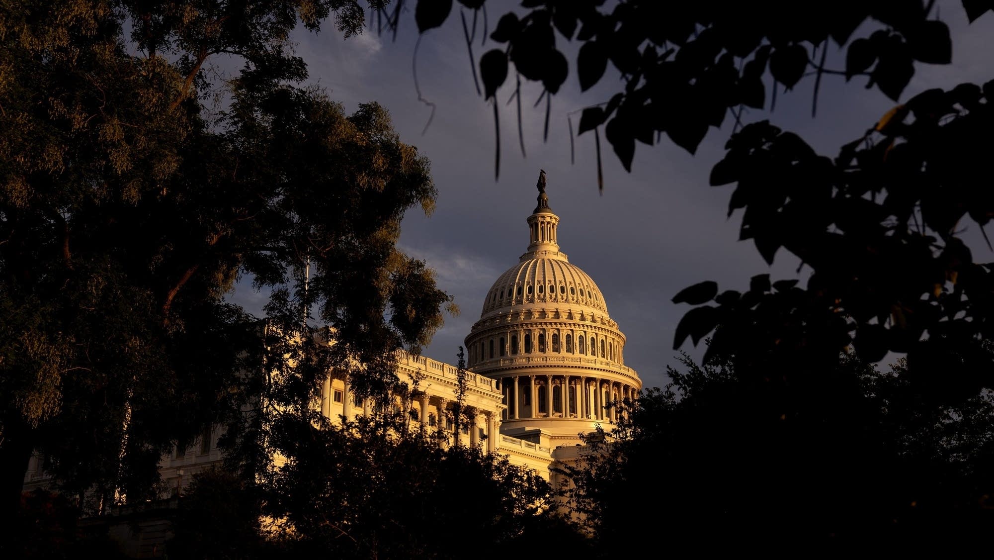 WIC food assistance funding up for debate in Congress - Marketplace