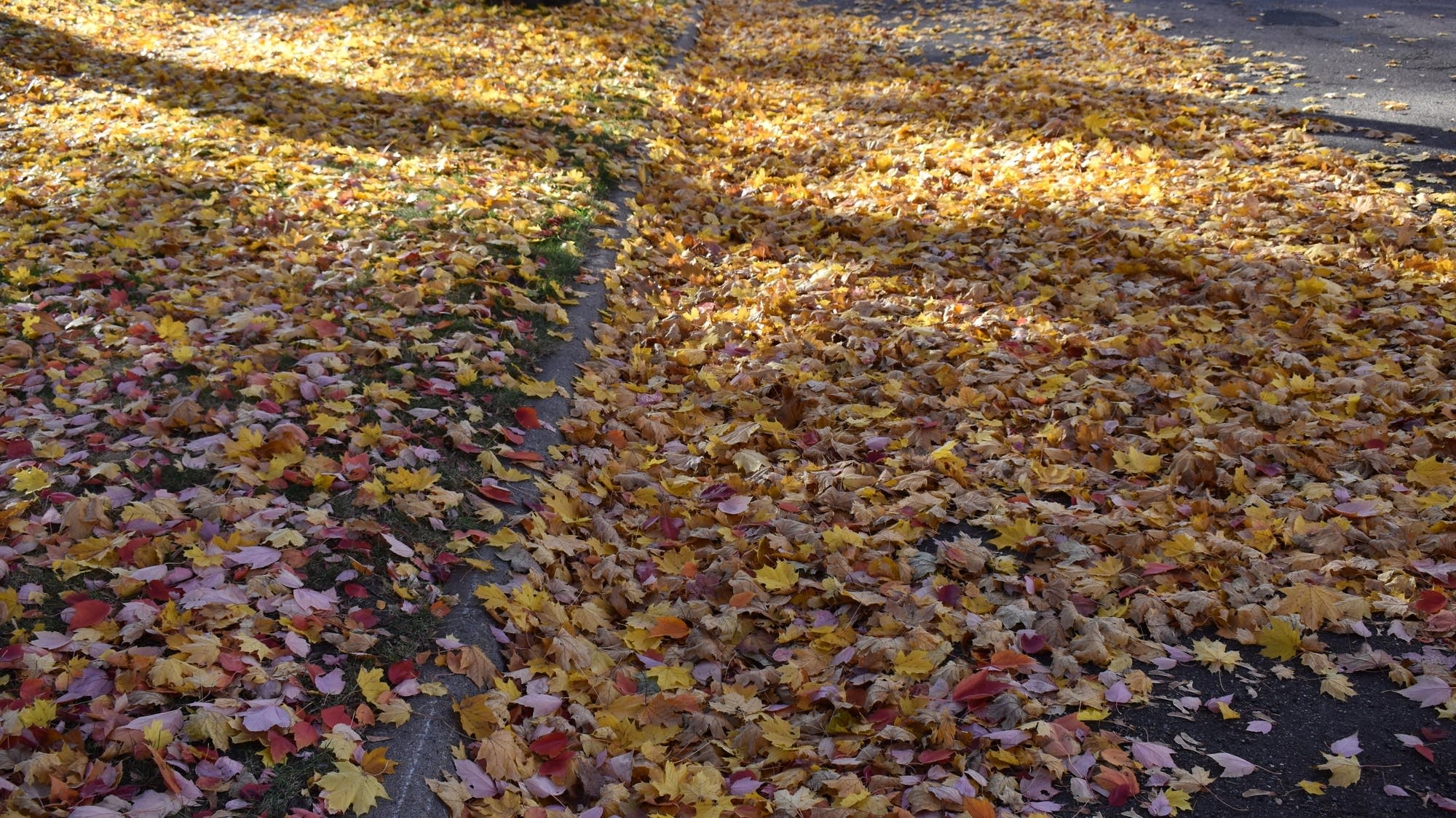 Best rain and flake chances in northern Minnesota this weekend | MPR News
