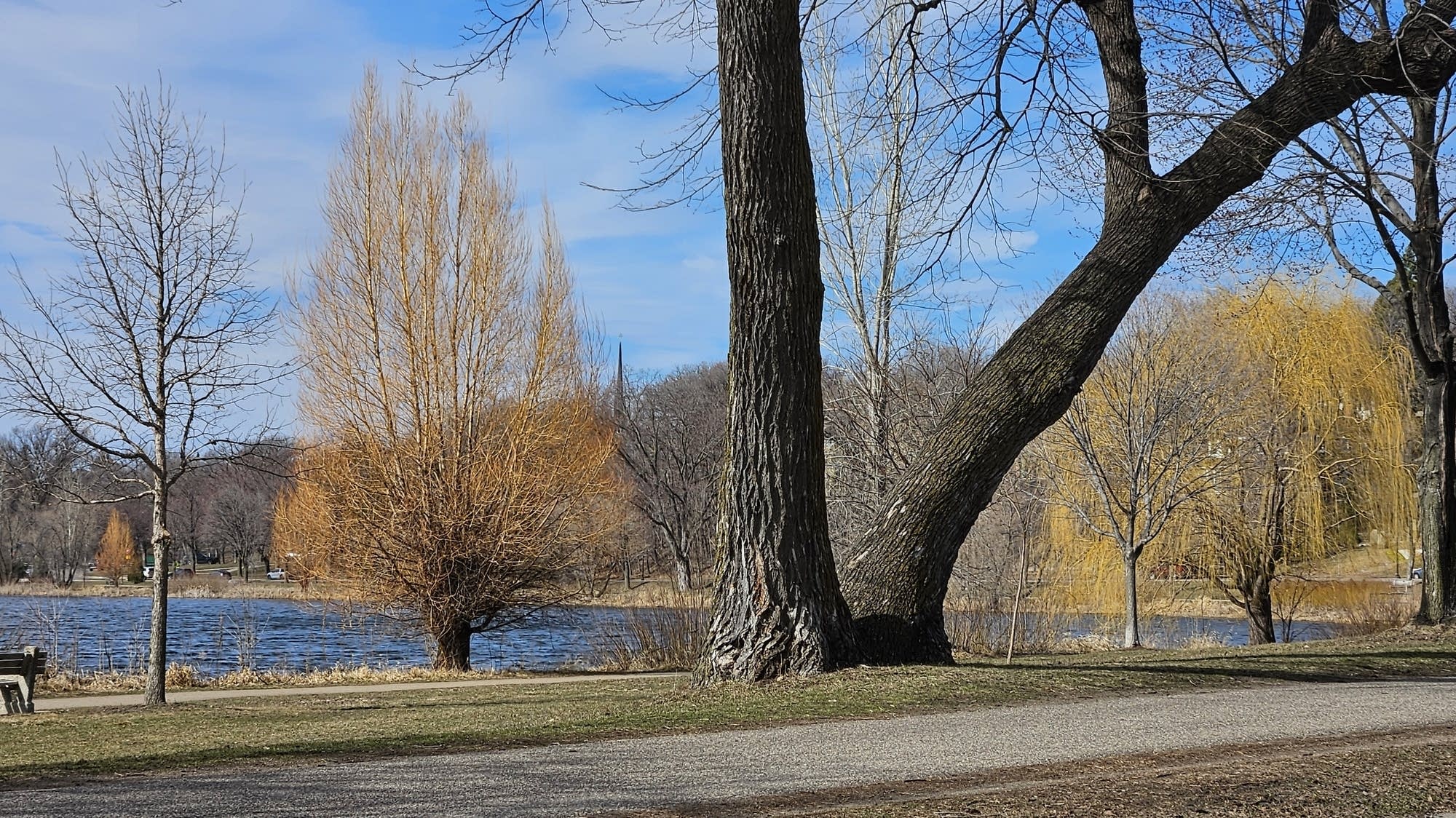 Weekend weather: Mildest temps on Saturday; showers at times on Sunday ...