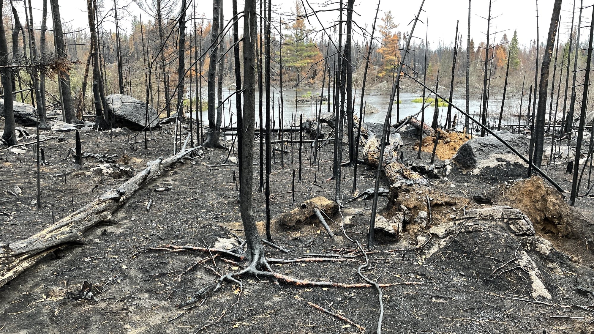 From its start one year ago, Greenwood Fire changed landscape of ...