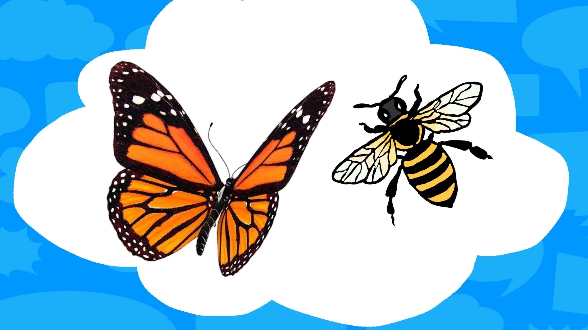 How do butterflies and bees flap their wings? | Moment of Um