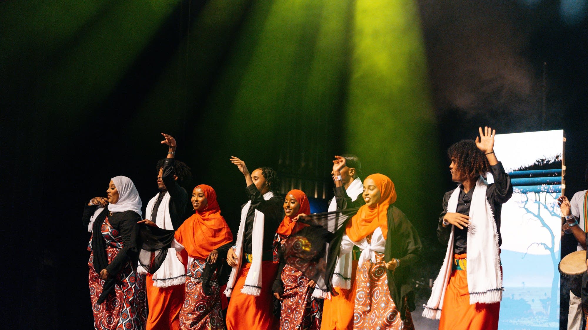 Art Hounds: Somali dance traditions, sculptural books and raw ...