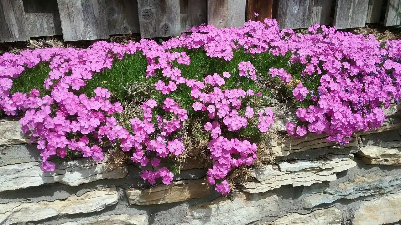 A very warm week on its way; Scattered thunderstorms most days | MPR News