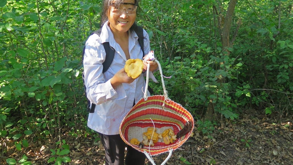 Forager finds a walk in the woods yields tasty treats | MPR News