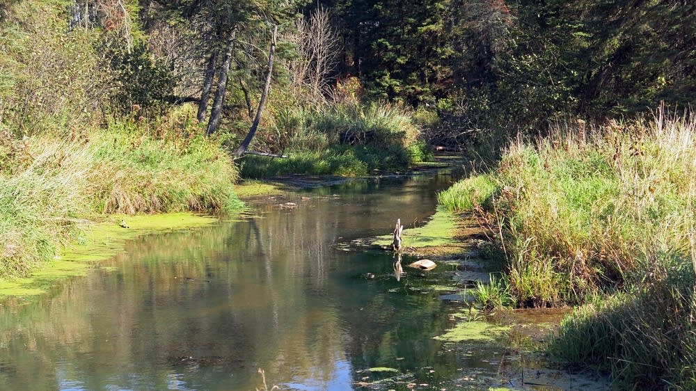 Report shows Midwest's most 'climate resilient' landscapes | MPR News