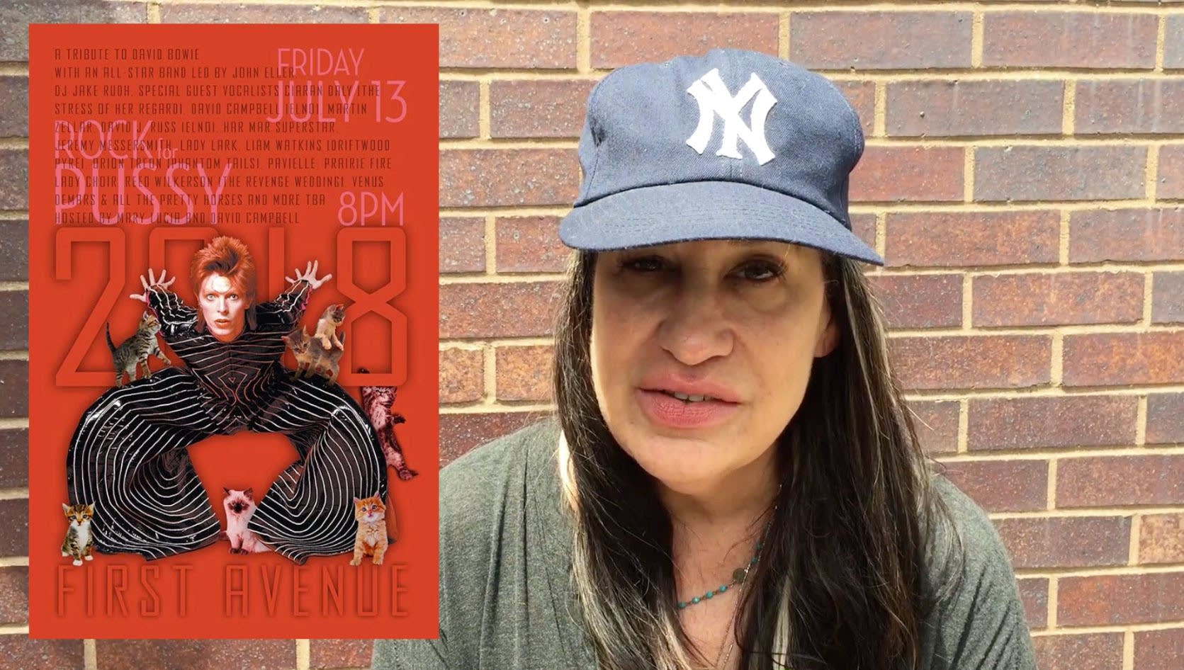 Listen to Looch: why cats are like rock stars