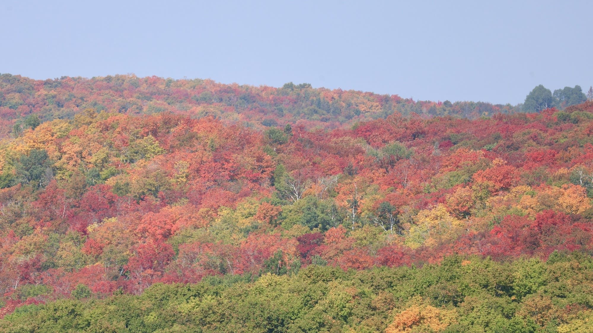 Minnesota’s fall seasons are getting warmer | MPR News