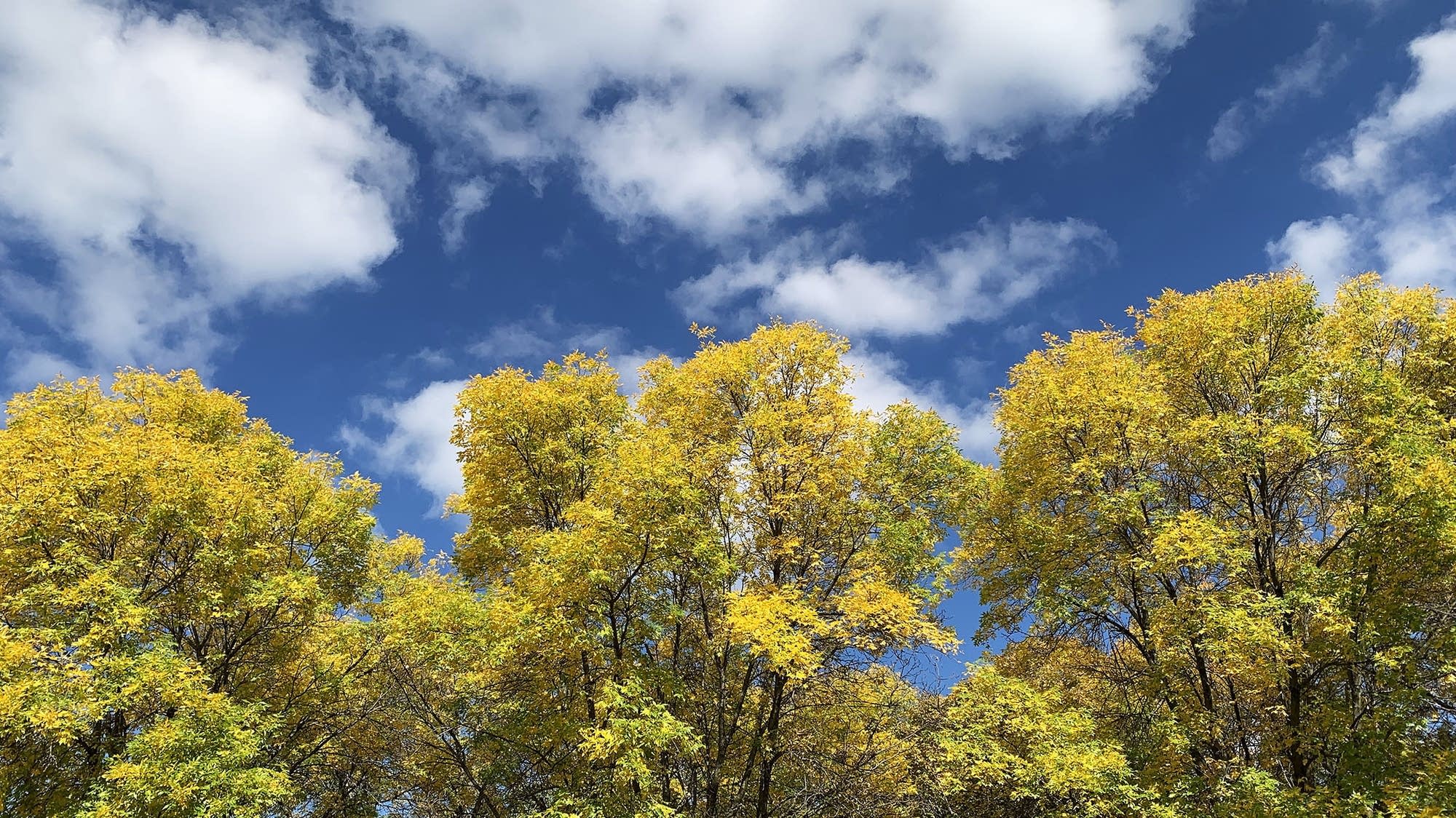 Wrapping up a warmer than normal autumn | MPR News
