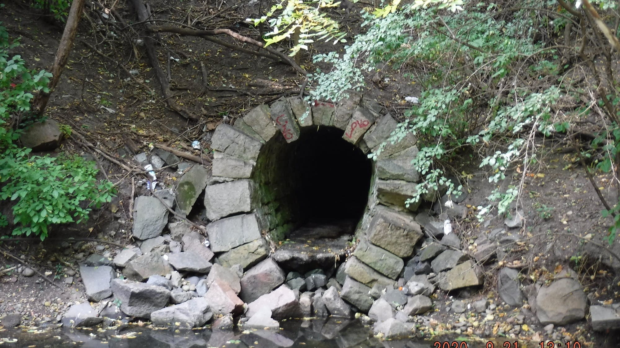 St. Cloud looks to restore old stormwater tunnel for bats | MPR News