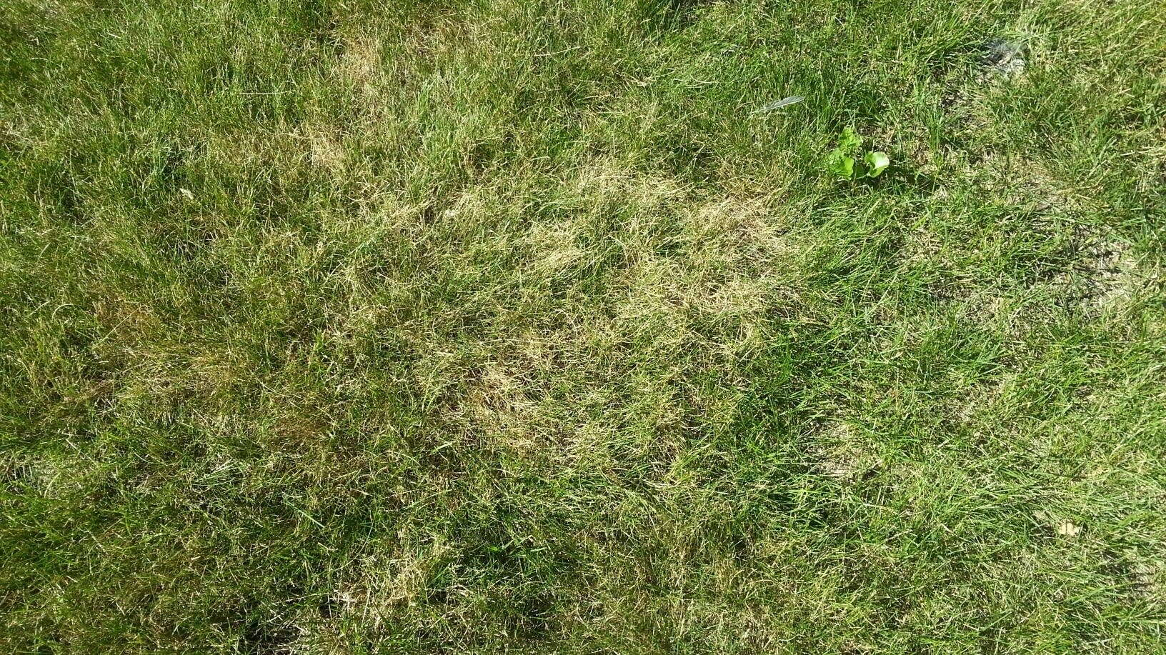 September Preview: 30s up north this weekend? “Short summer” of 2013 ...