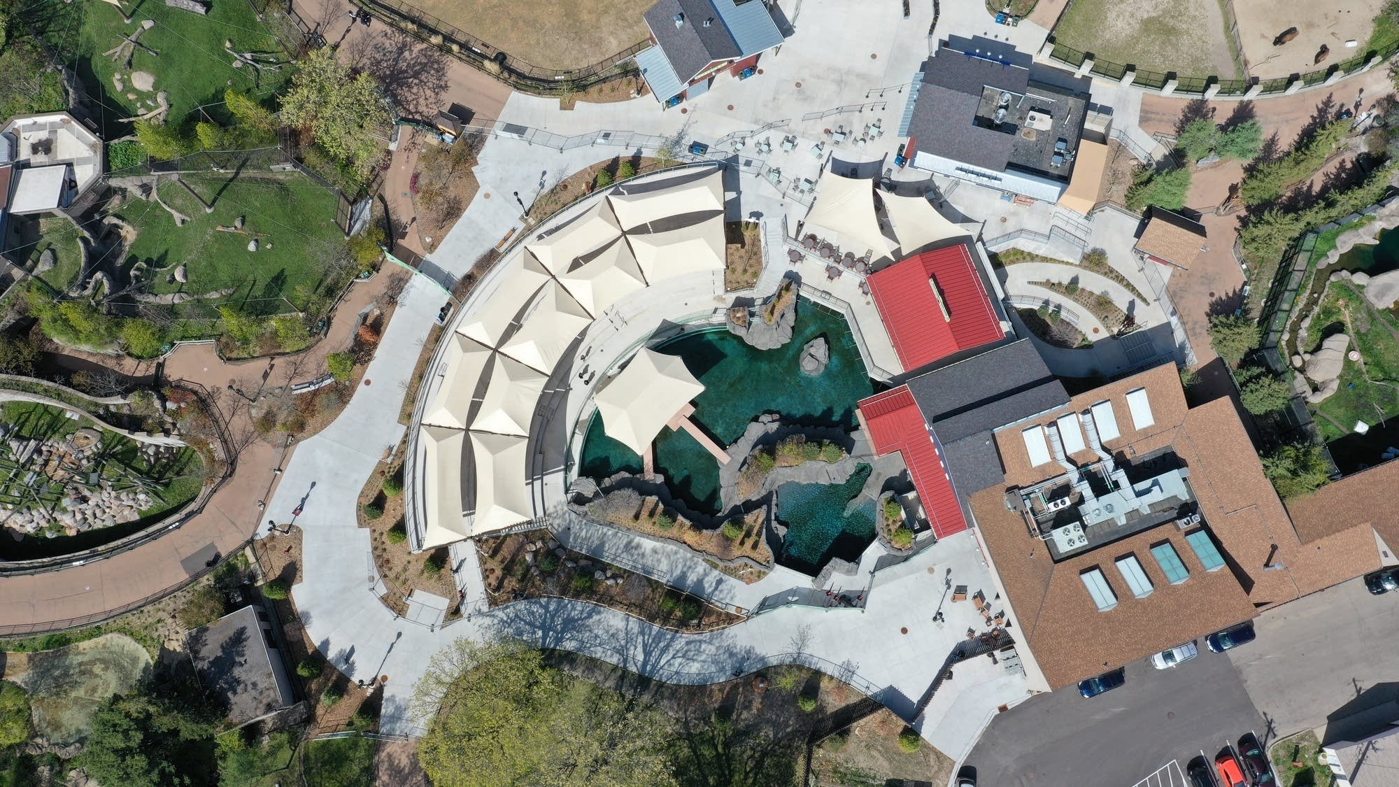 Seals and sea lions adapt to a new, year-round home at Como Zoo | MPR News