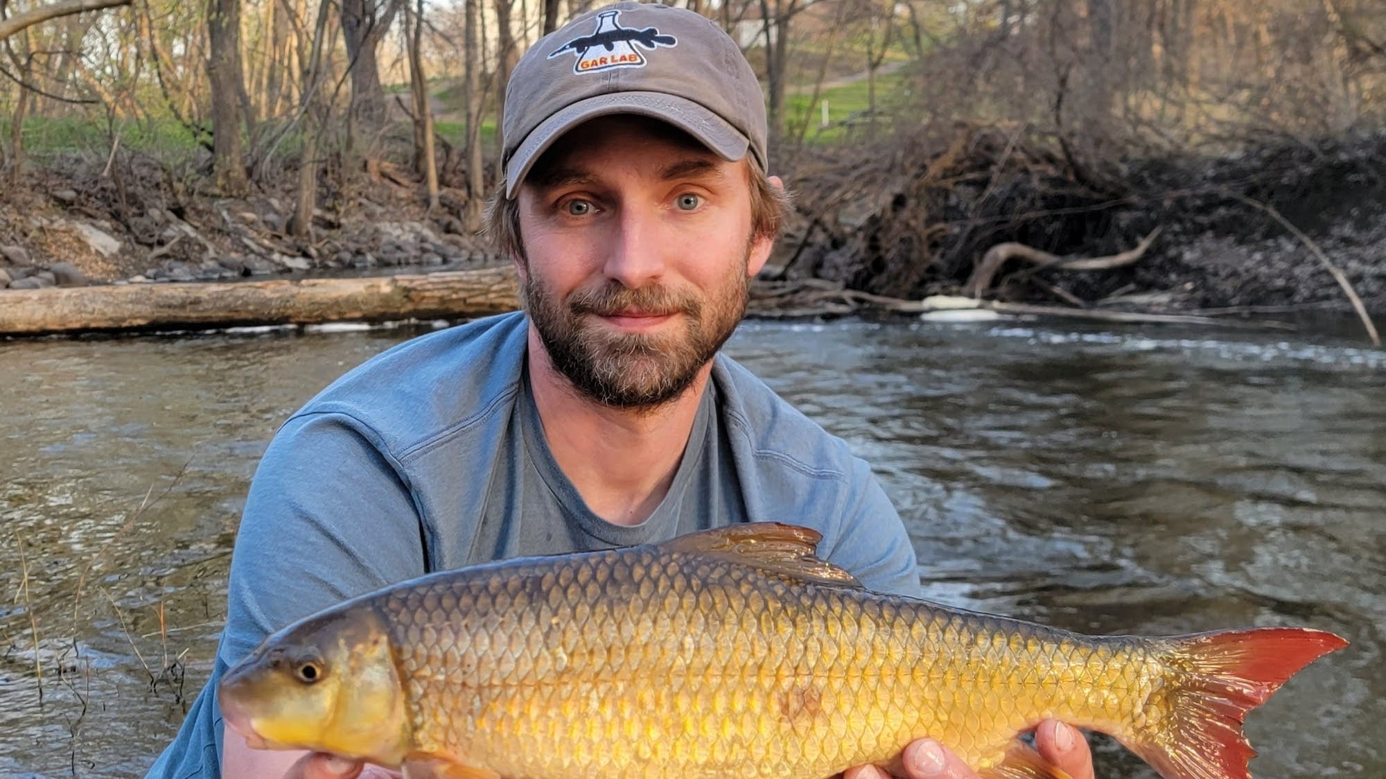 DNR proposes new catch limits, protections for native rough fish | MPR News