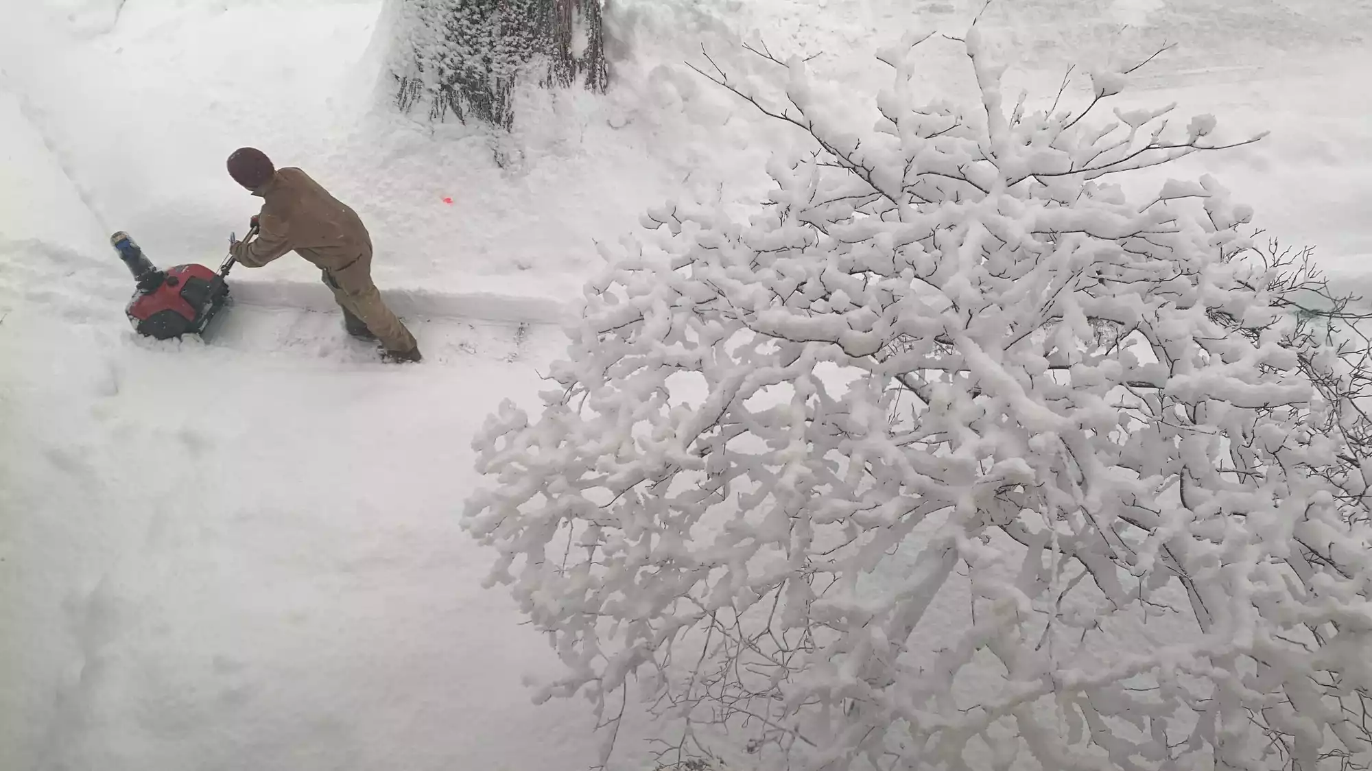 Monday snow heaviest in northern Minn.; Snowstorm to hit many areas ...