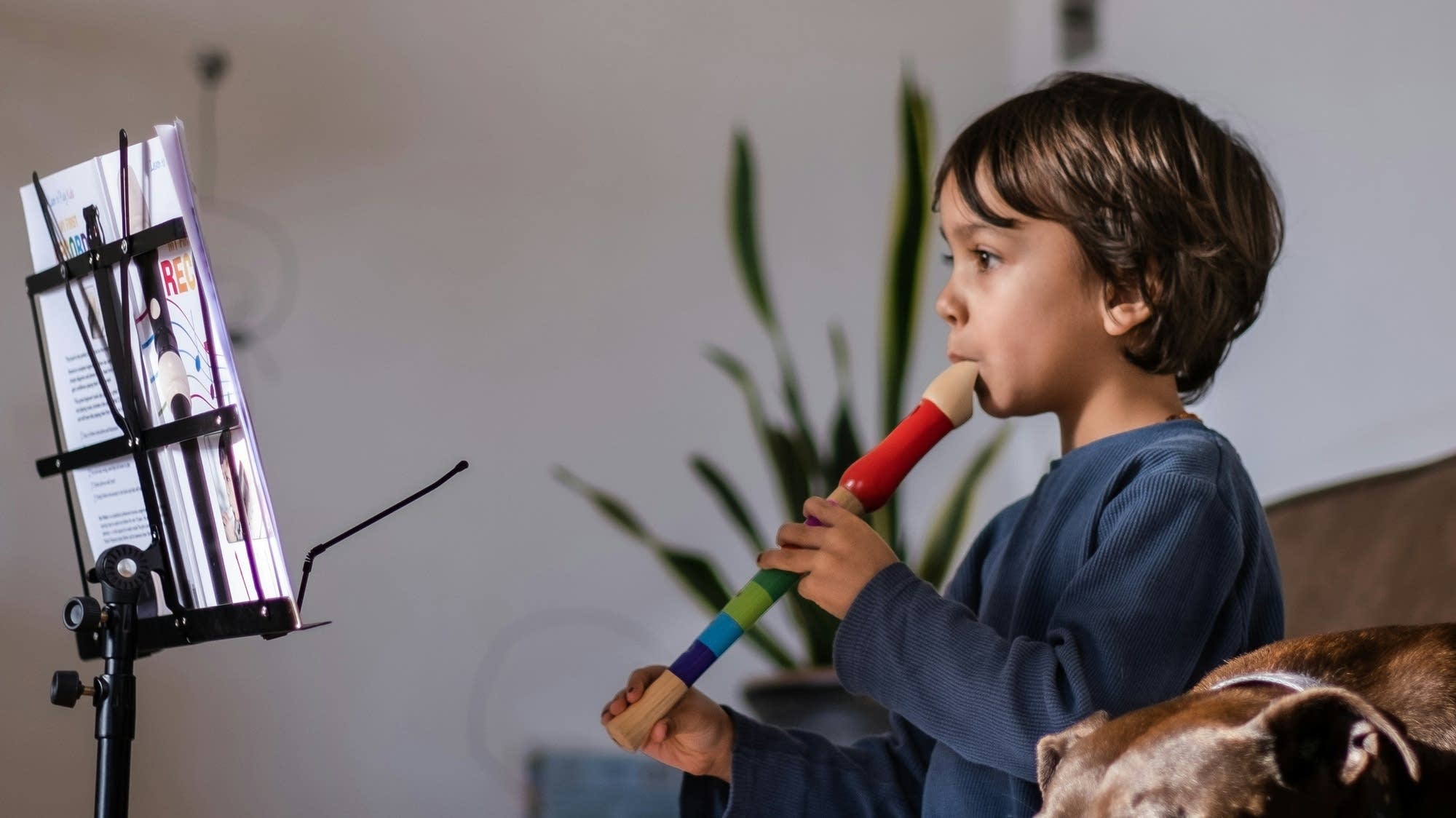 Recorders, the woodwind music instruments, are on the decline in ...