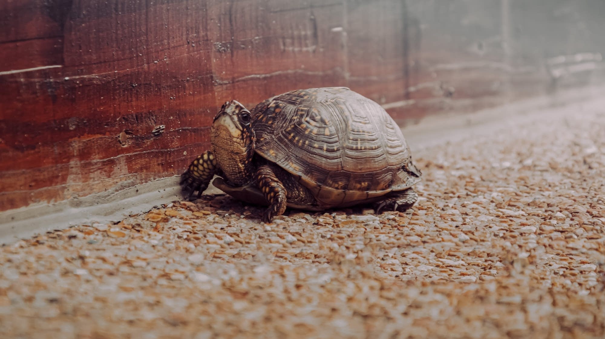 How Slow Can You Go...