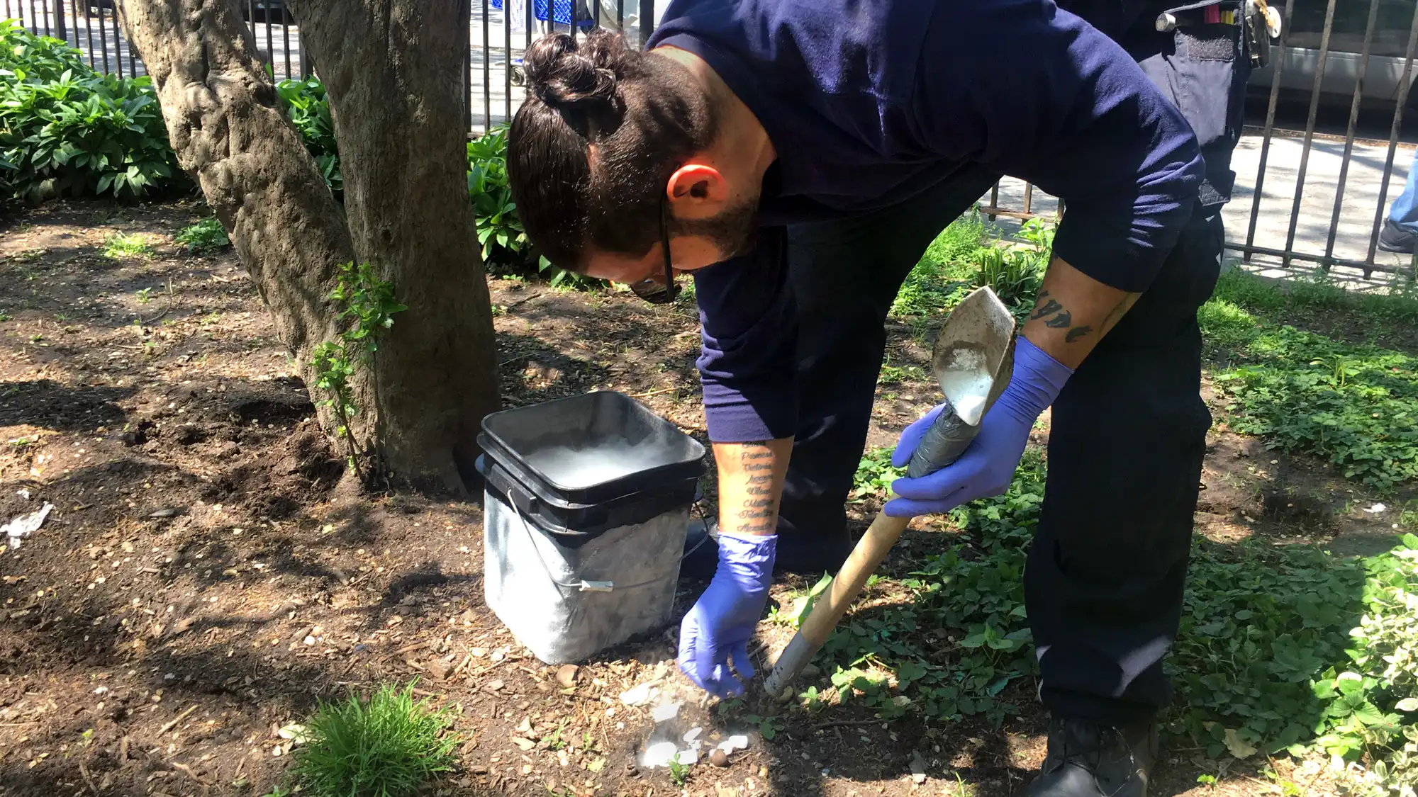 New York City turns to dry ice to control its rat population