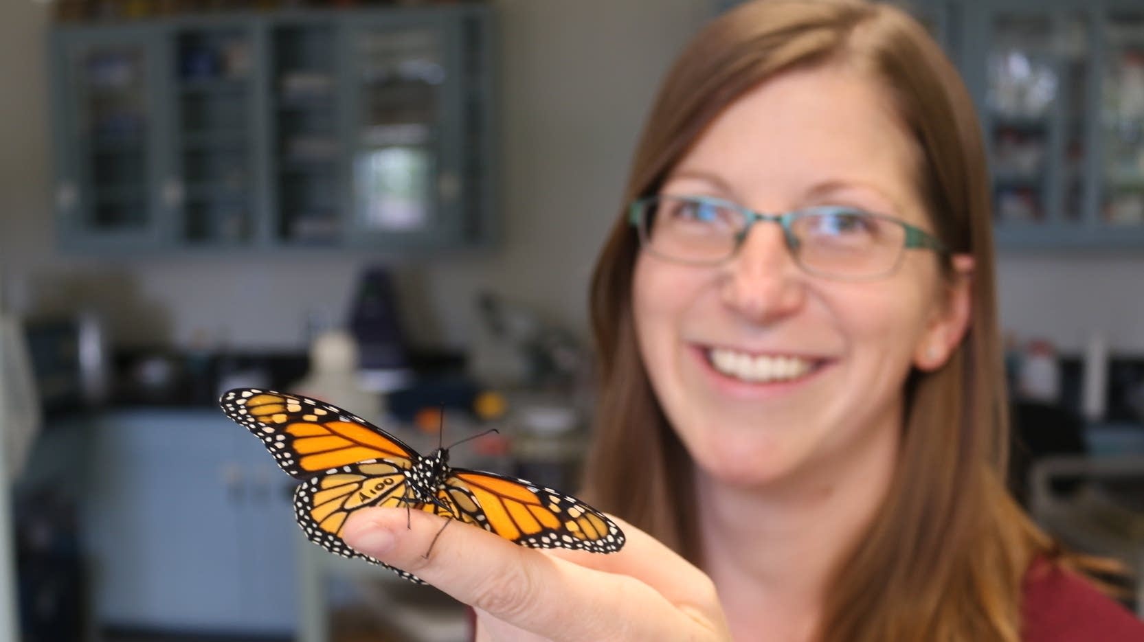Monarch population, host plants hurting from climate change. Expert ...