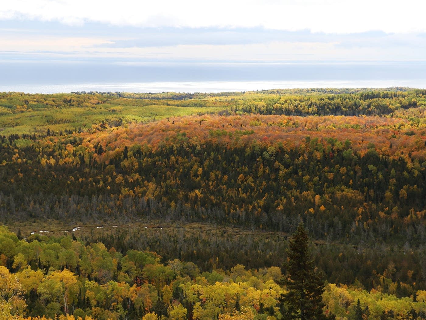 Photos: Fall colors on Minnesota's North Shore | MPR News