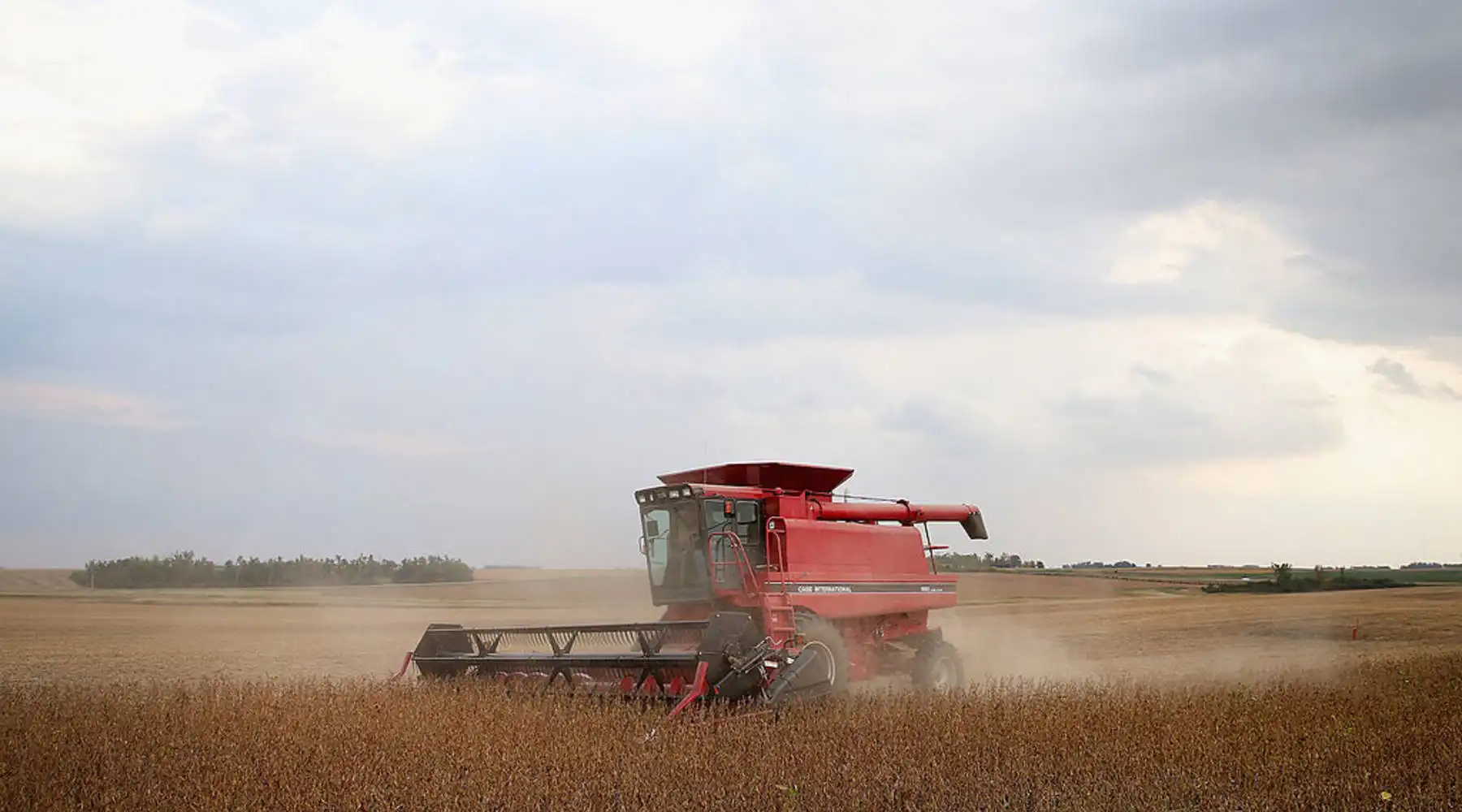 Low crop prices drag farm towns down with them