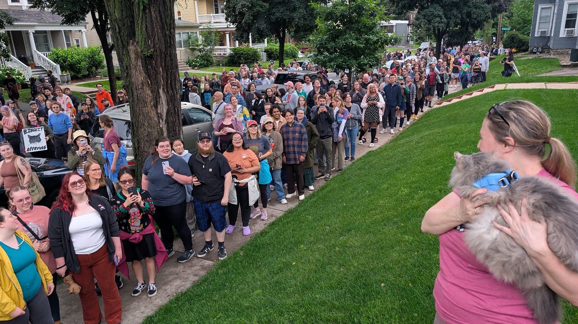The Wedge LIVE! cat tour is on Wednesday in Minneapolis | MPR News