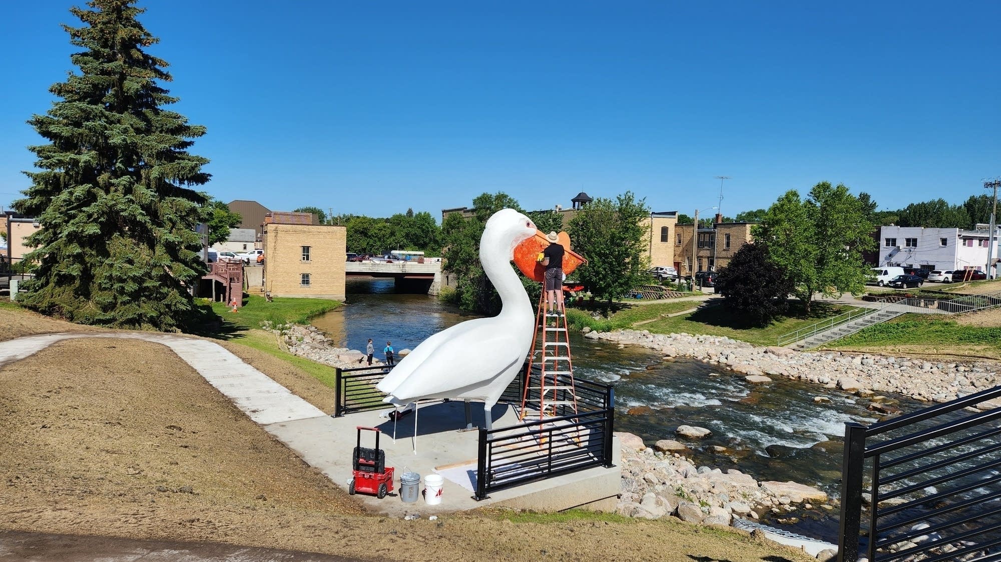 'Pelican Pete' returns to roost as dam removal wraps up in Pelican ...