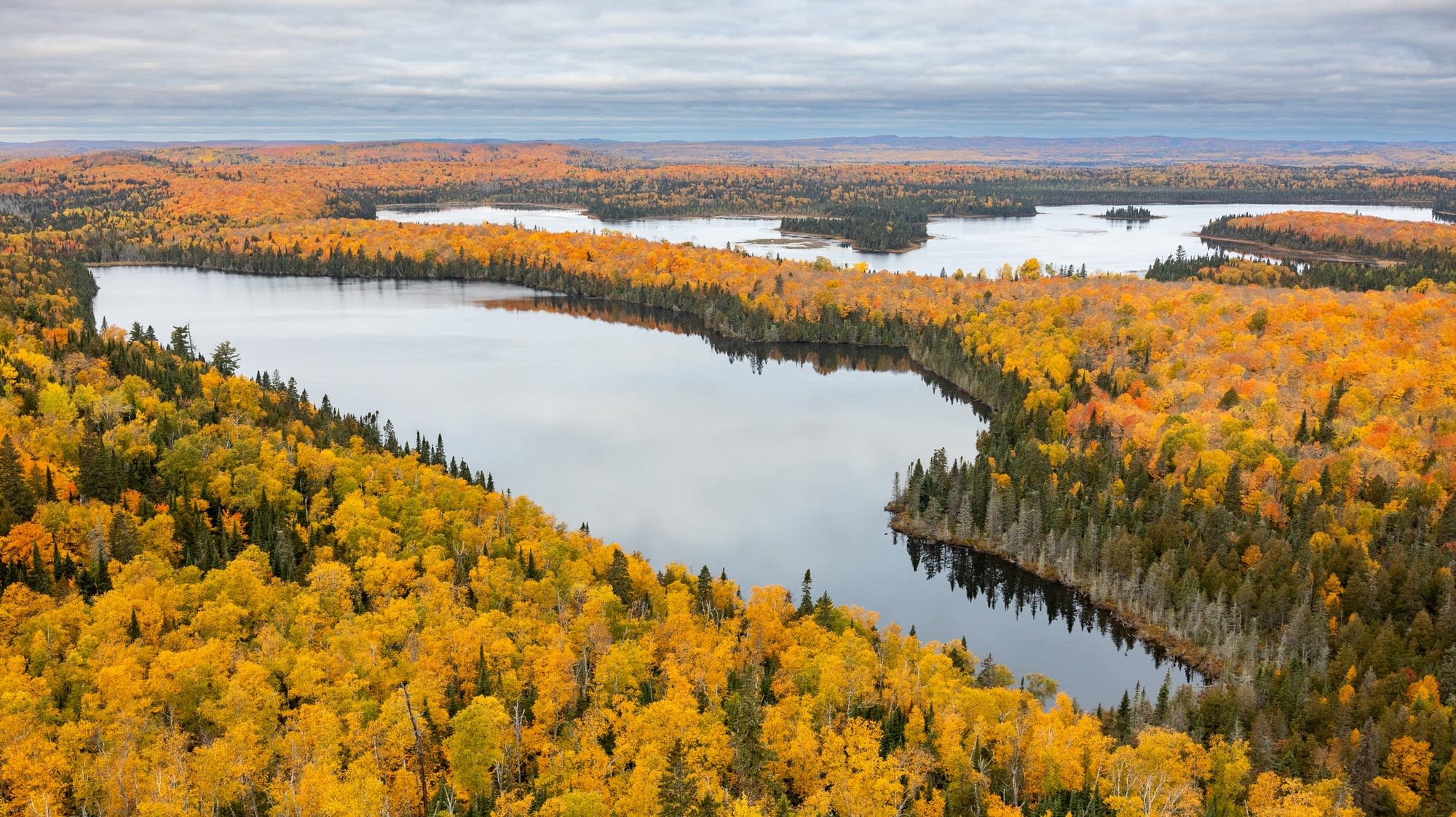 Vivid fall colors expected across Minnesota this year | MPR News