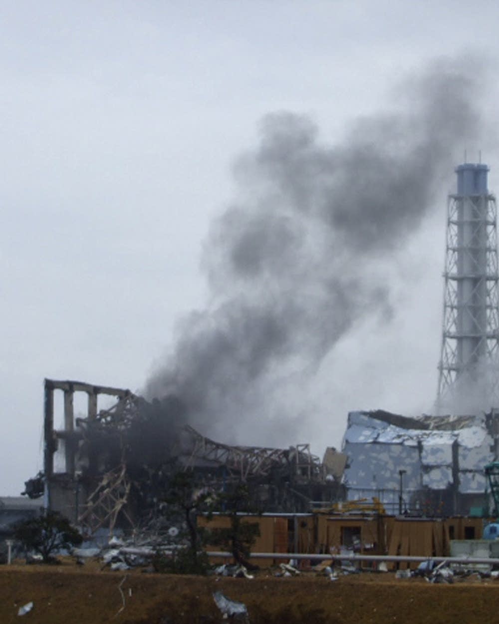 Nuclear Power Plant Disasters