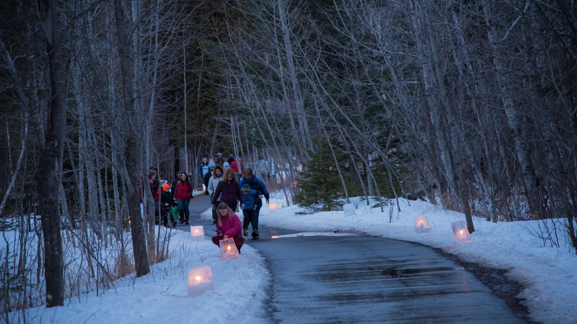 Calling all volunteers: Minnesota DNR has a job for you | MPR News