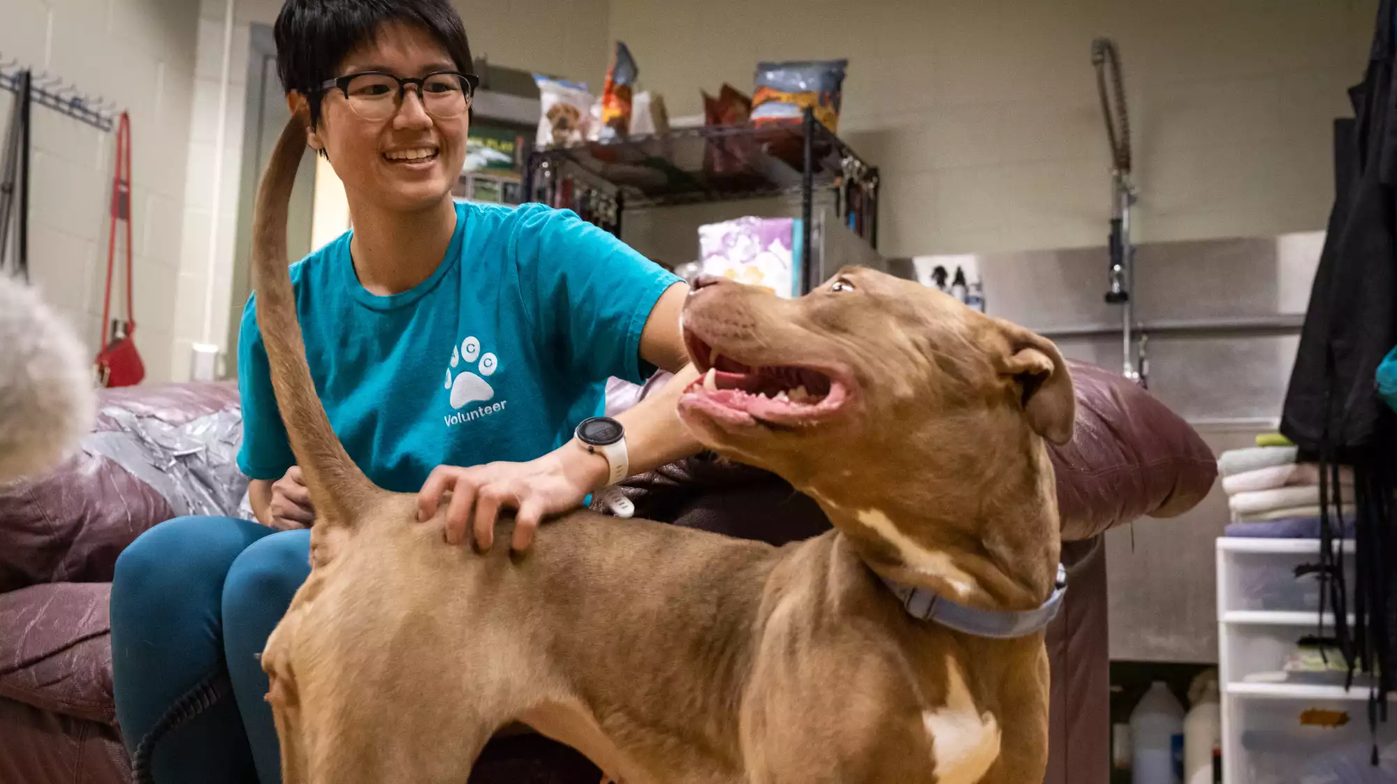 Minneapolis Animal Care and Control gets boost from city funds for ...