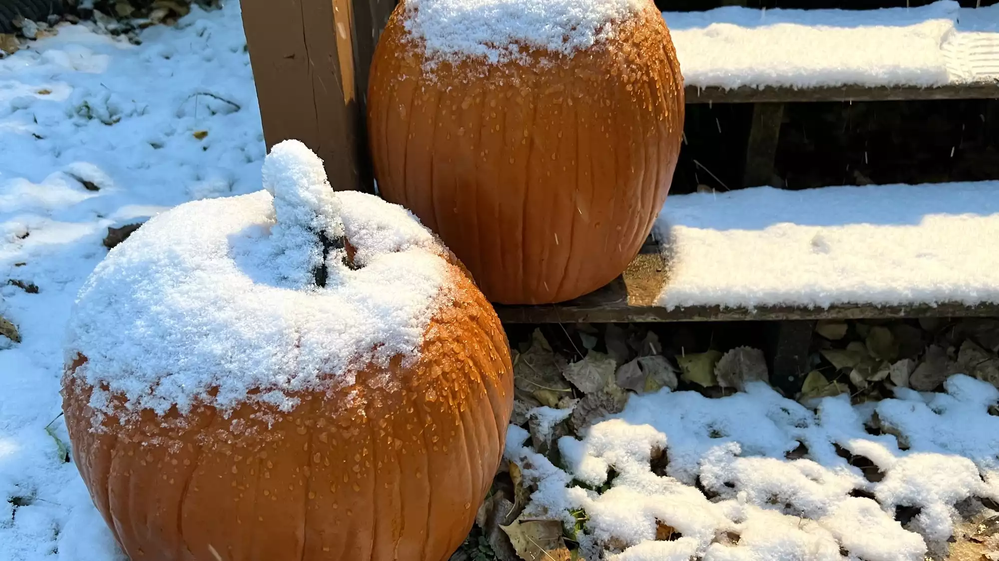 Weekend weather: Cold; flakes at times Saturday afternoon and evening ...