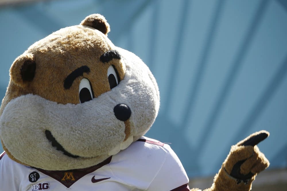 Watch: Goldy Gopher steamrolls youth footballer | MPR News