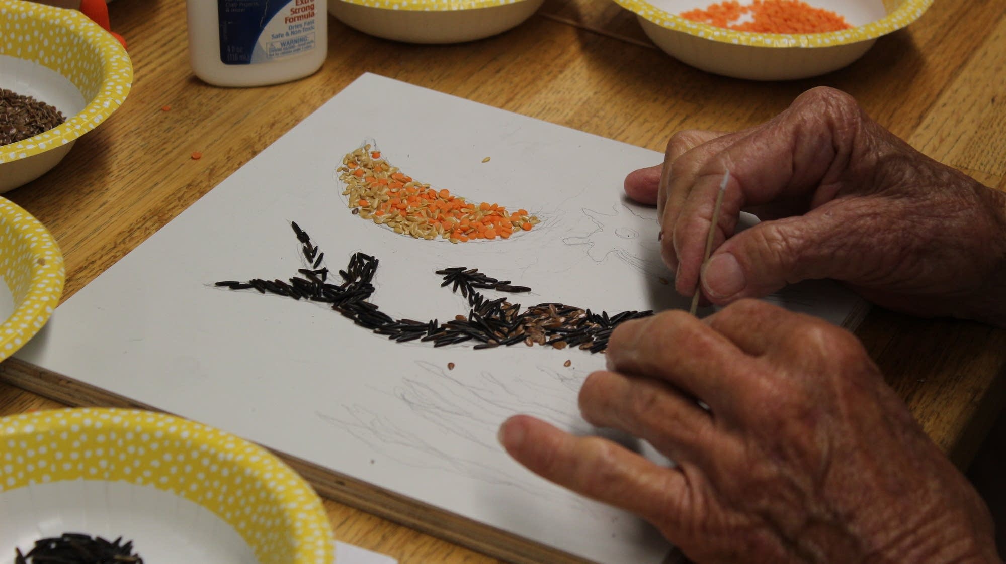 Beginners try their luck at a Minnesota State Fair favorite: crop art ...