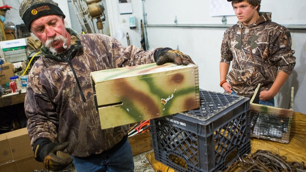 Following a teen where wolves go as trapping season starts | MPR News