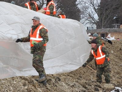 Plastic and potatoes help protect earthen dikes | MPR News