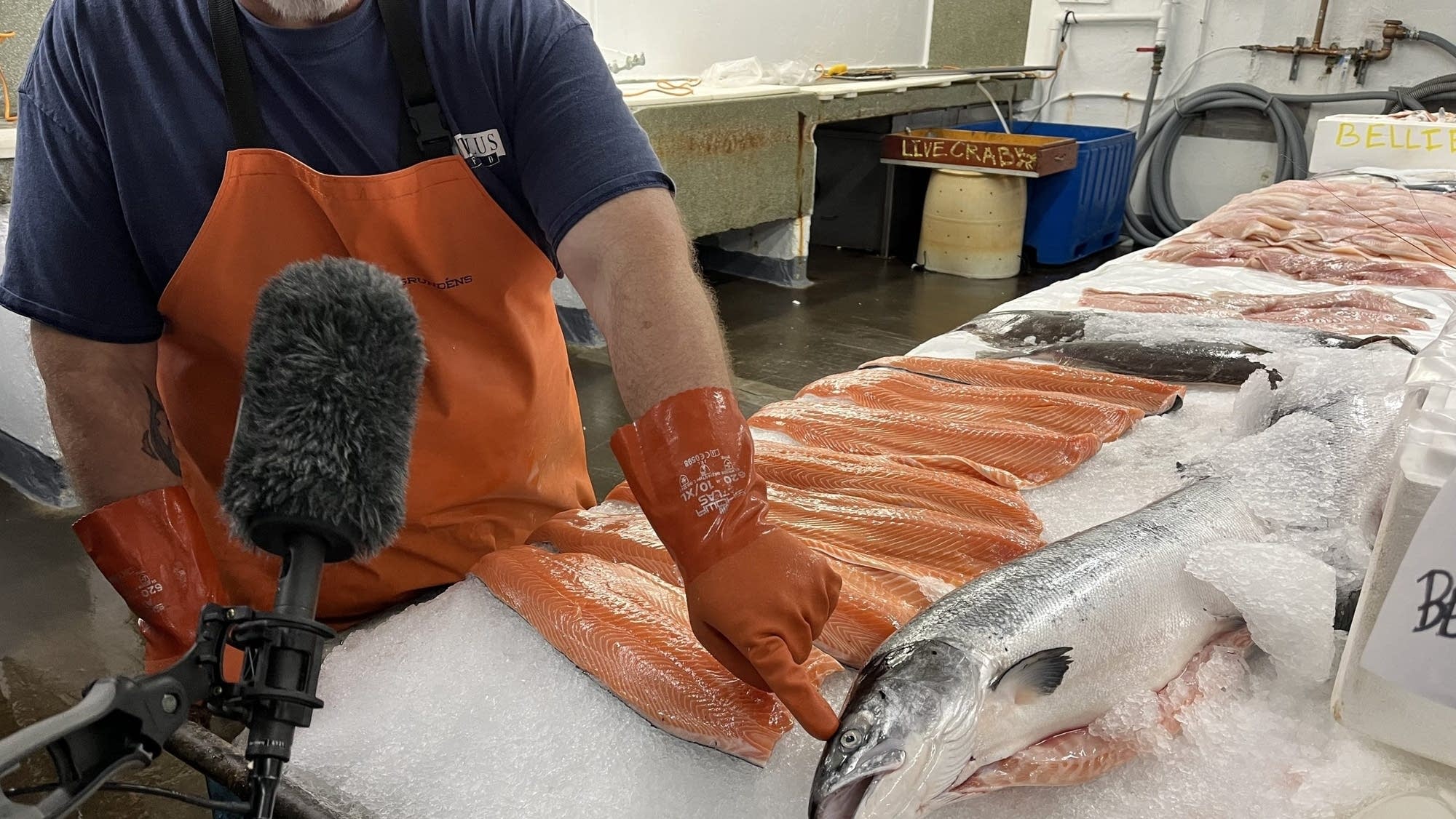 Dawn patrol at the fish market